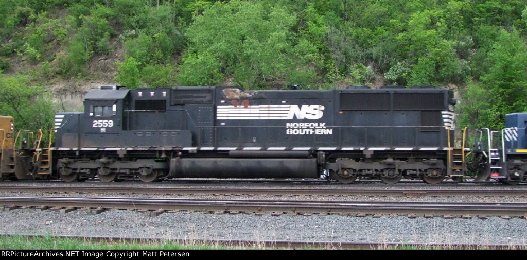 NS 2559